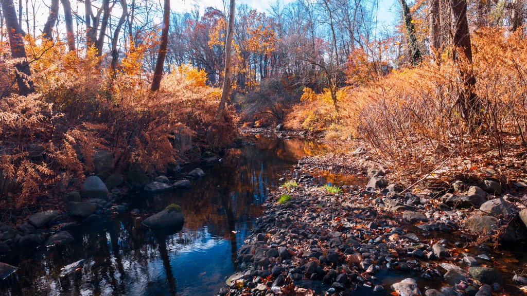 Landscape Photography – Ben Berkowitz