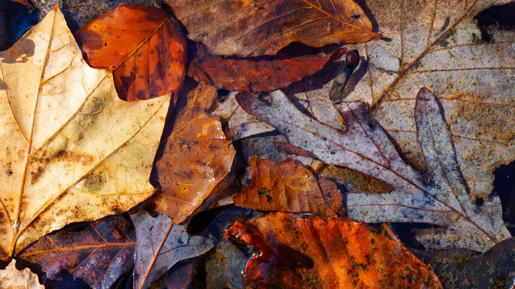 Landscape Photography – Ben Berkowitz