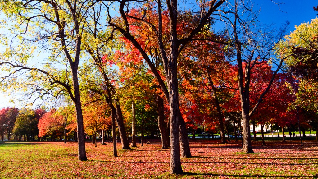 Landscape Photography – Ben Berkowitz