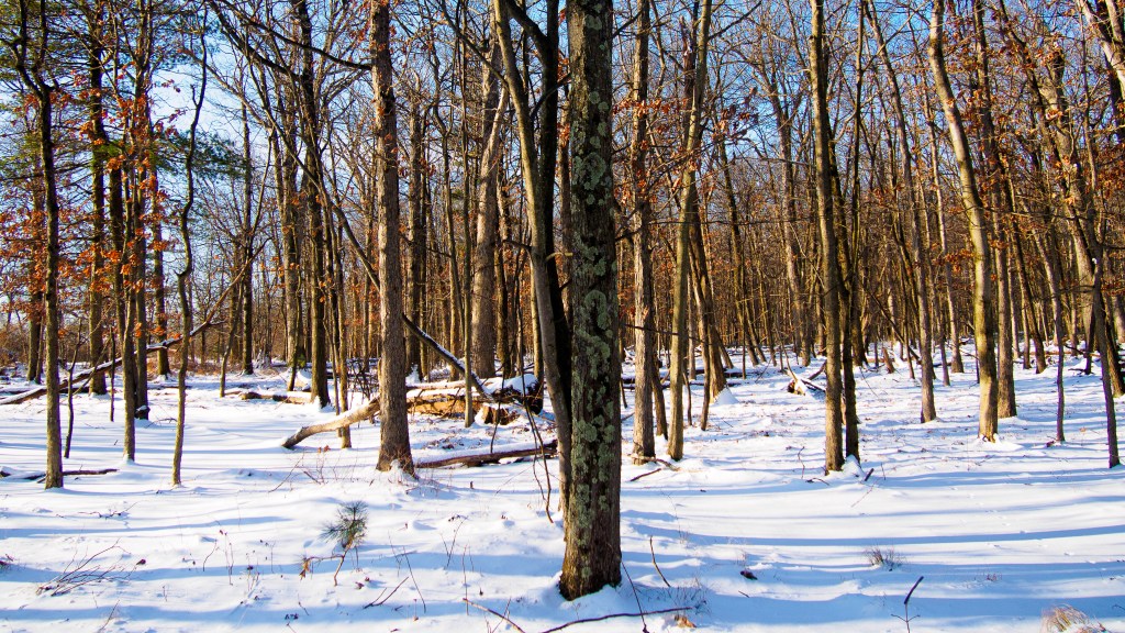 Landscape Photography – Ben Berkowitz