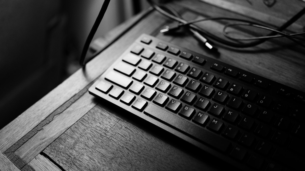 New Adventures – Ben Berkowitz