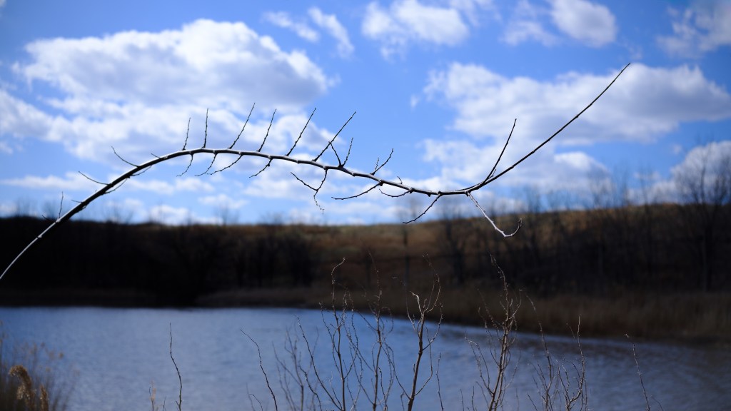 Landscape Photography – Ben Berkowitz